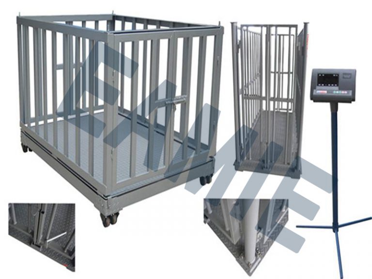 Fenced Live Cattle Weighing Scale – EAMIE